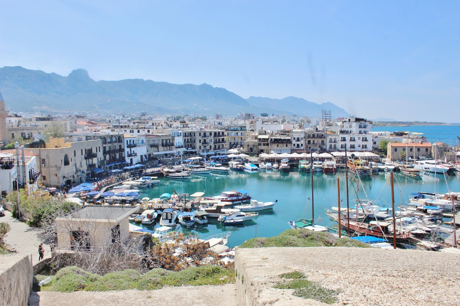 Biodiversity of Cyprus by NGO Protection of the Natural Heritage and ...