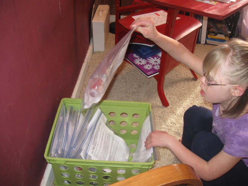 Schoolhouse Review: Activity Bags - Sceince Experiments and Travel Binder