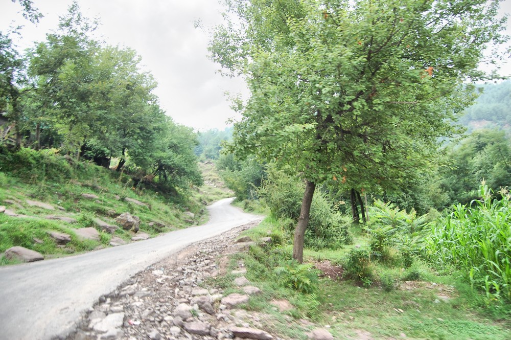 Muhammad Hatif Kashmiri: Tolipeer, Rawlakot Azad Kashmir