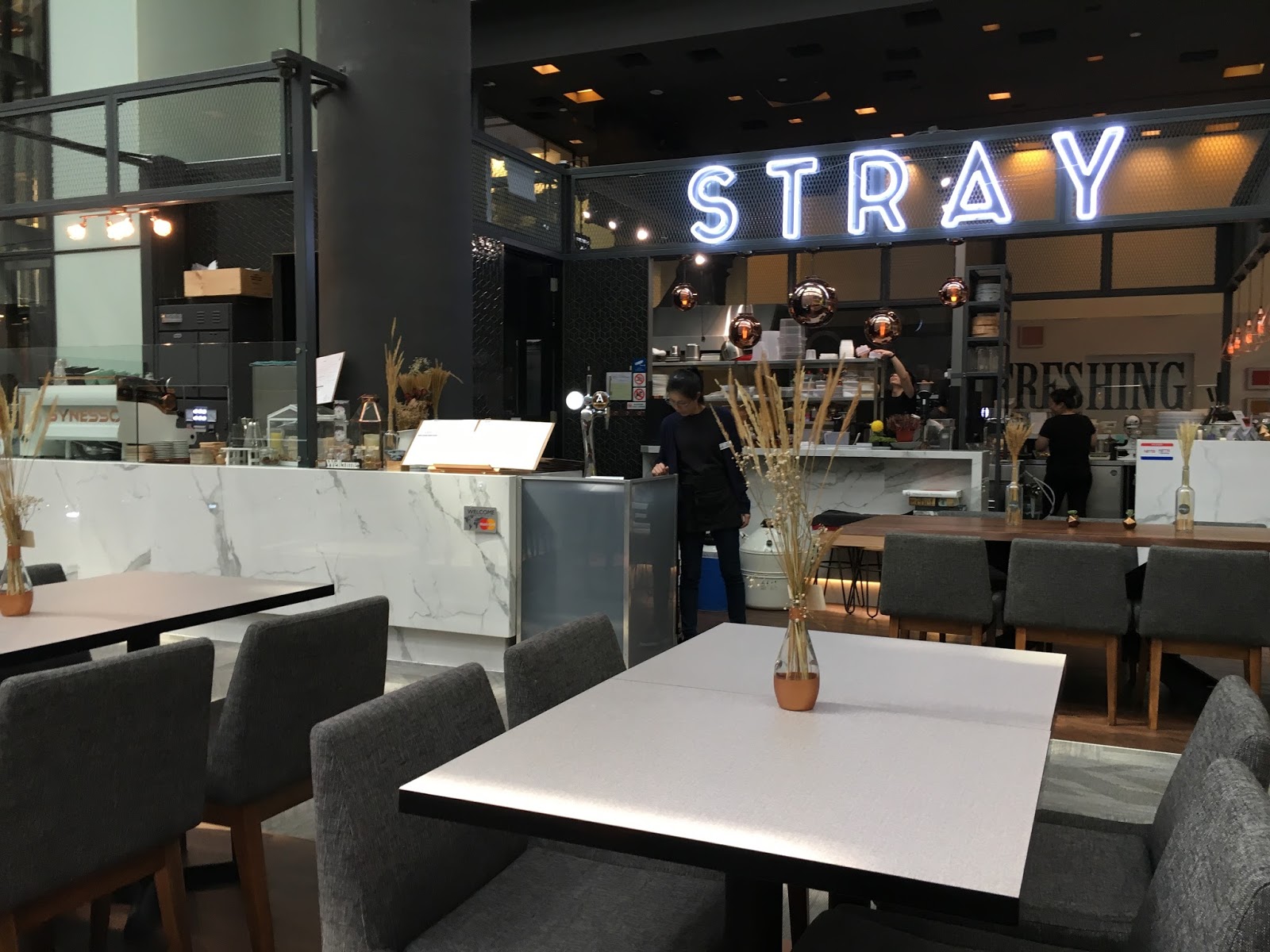 Stray Cafe by Fatcat - Singapore - Travel is my favorite Sport