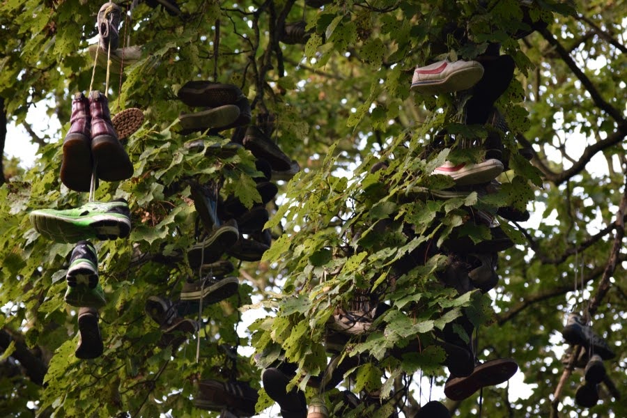 Photographs Of Newcastle: Armstrong Park - The Shoe Tree