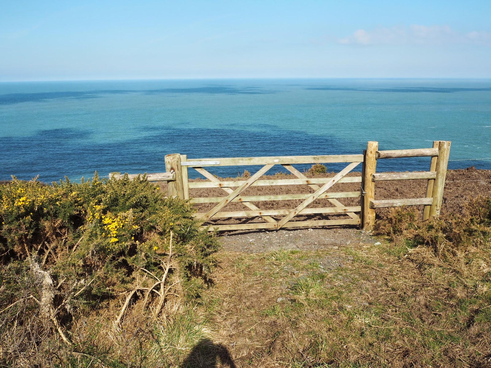 Travel - A Spring Weekend in Cornwall - Roses and Rolltops