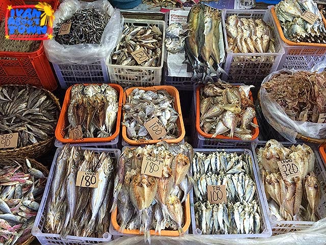 Ranch tourism in Masbate: Be a ranchero for a day! Holy cow! | Ivan ...