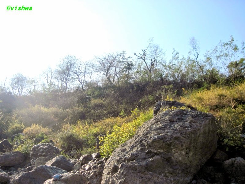 Tattapani- a rafting gateway from Shimla ~ iNDiA