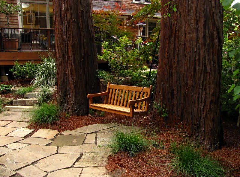 InterLeafings : Two Redwood Grove Landscapes, Part 2