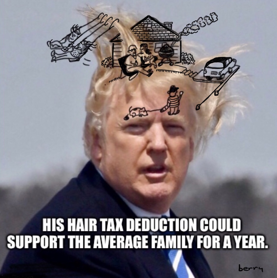 berry cartoons: Trump Hair Deduction Cartoon Meme