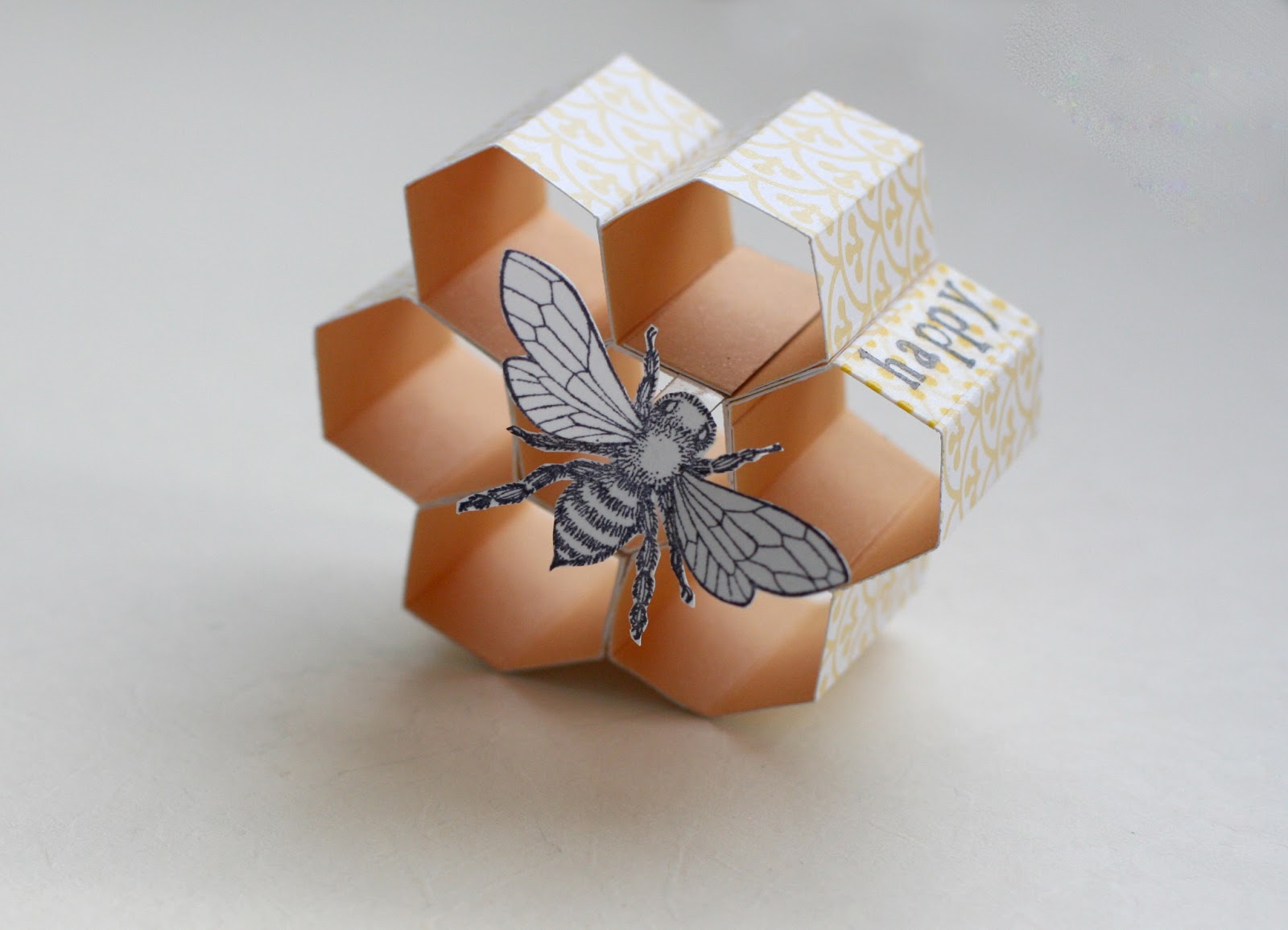 Notable Nest: A Study in: Boxes (Bee Hexies)