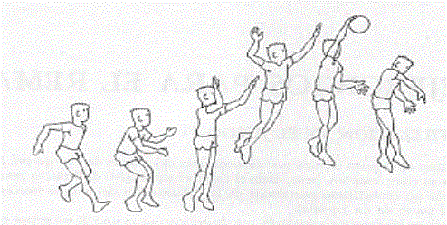 Happy Voley =))): Fases de un remate