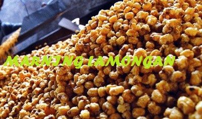 5 CARA SEDERHANA MARNING YANG RENYAH DAN PEDAS NAMUN MENGHASILKAN ...