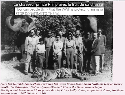 PARENTICIDE ET HÉTÉROPHILIE: POLLUTION: POISSONS, PCB, MERCURE ...