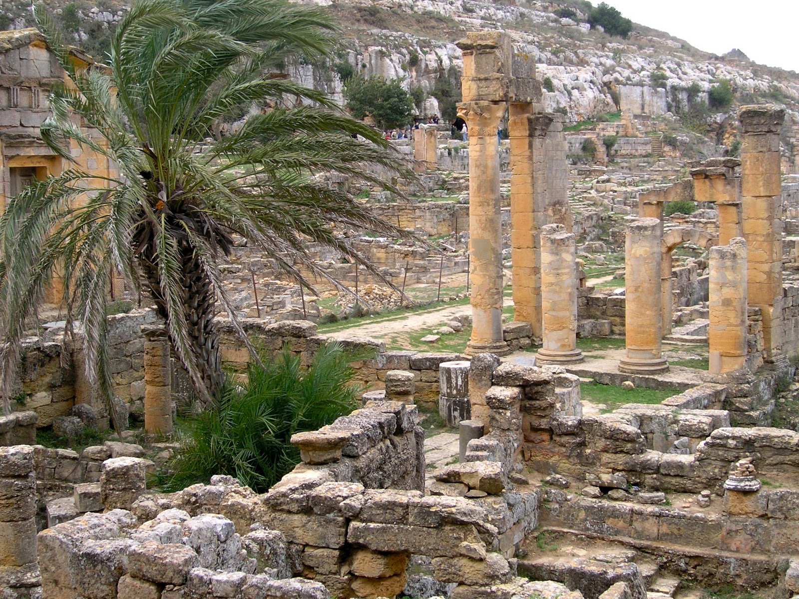 Forever A Pilgrim: Cyrene, Libya