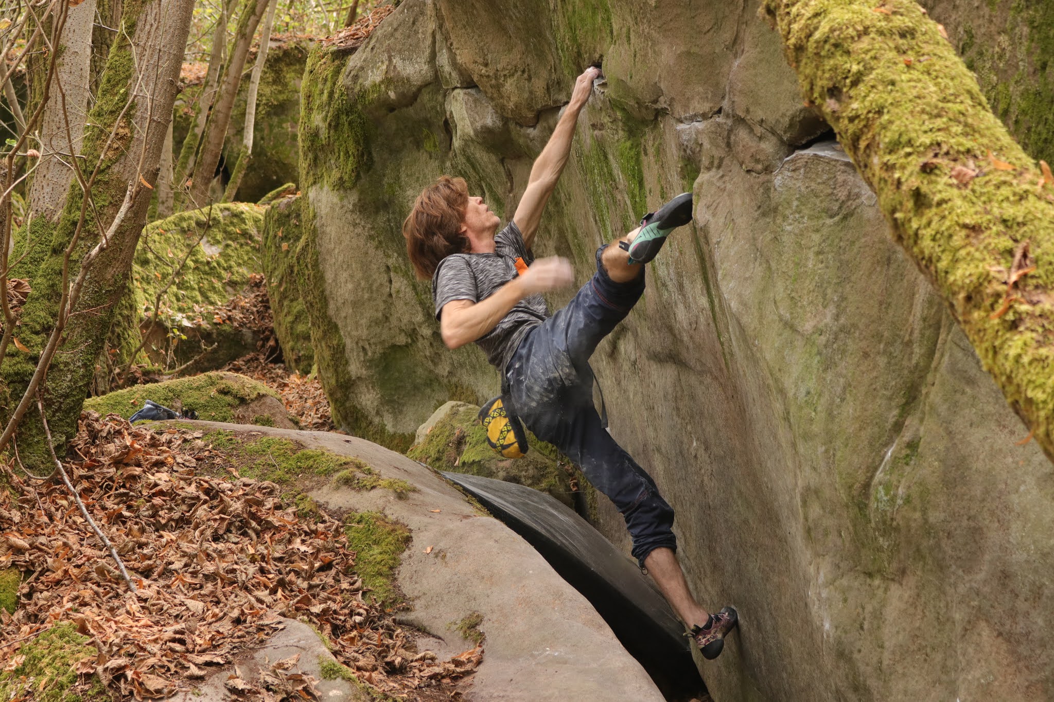 Bleau Spirit: La Menace mortelle Fantôme