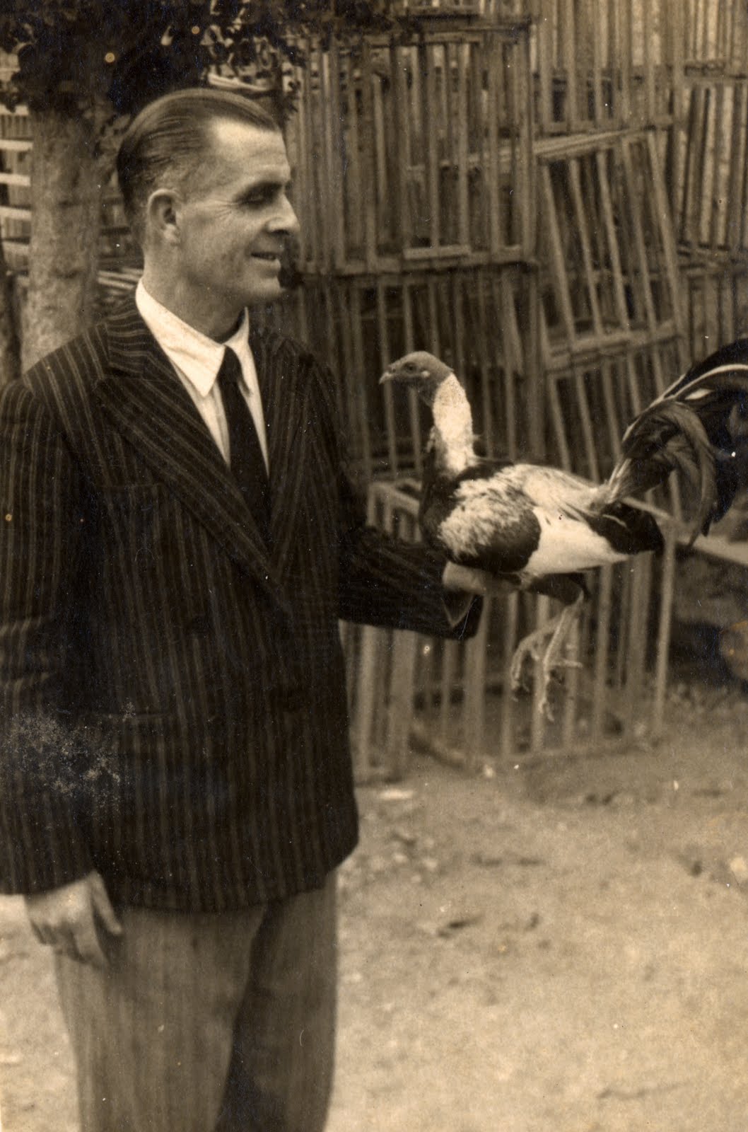 ESPUELA Y FISCORNO: Francisco Dorta, 1934