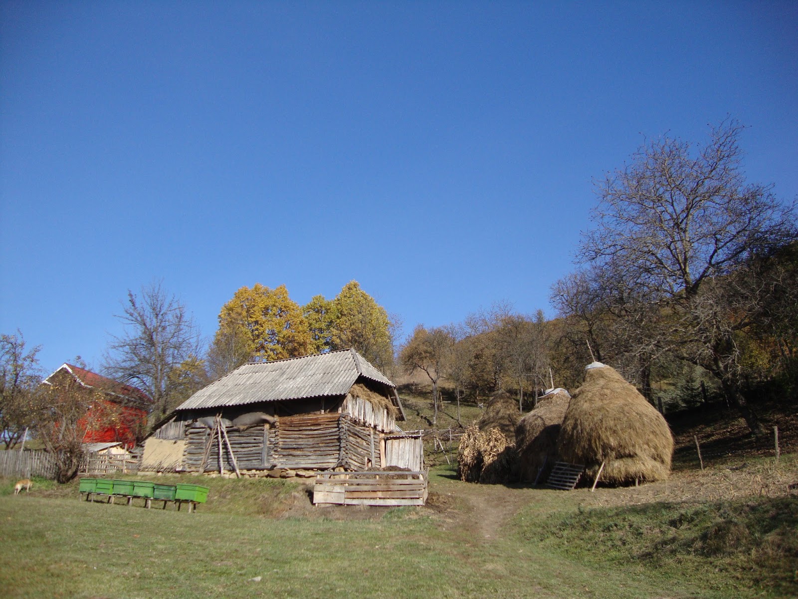 TUDOR PHOTO BLOG: Maramures,Romania - Tara Lapusului Toamna