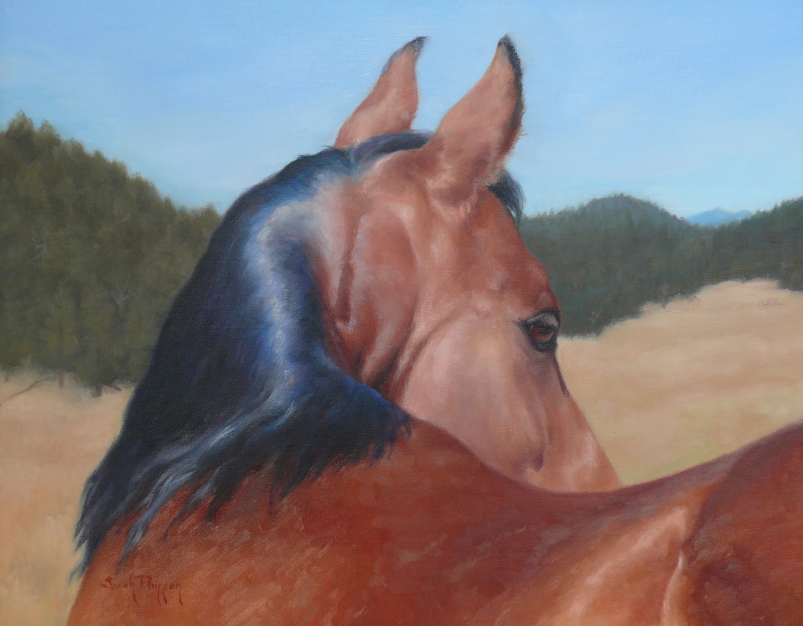 Sarah Phippen Fine Art