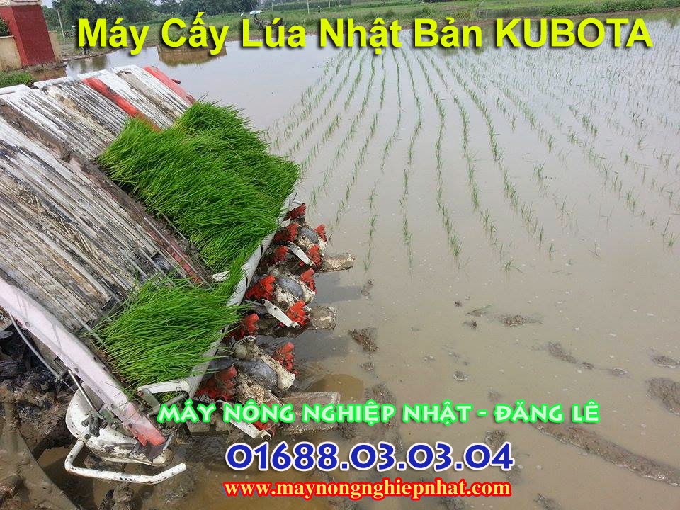 BÁO GIÁ MÁY GẶT ĐẬP LIÊN HỢP MÁY CÀY ĐÃ QUA SỬ DỤNG KUBOTA YANMAR ISEK ...