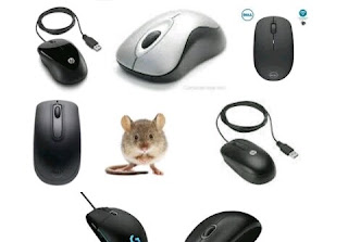 Types of Mouse and How They Work - IT TRAIN
