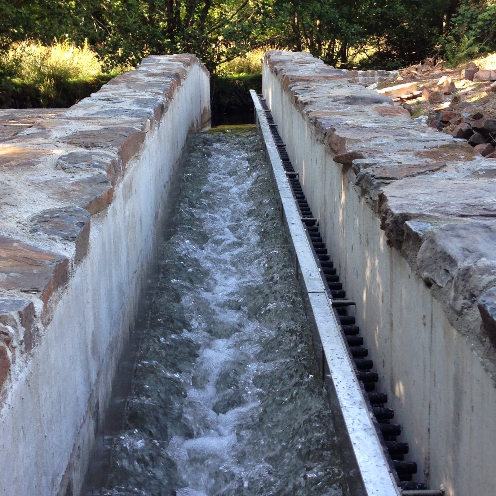 28th August 2014 - Fishtek Consulting