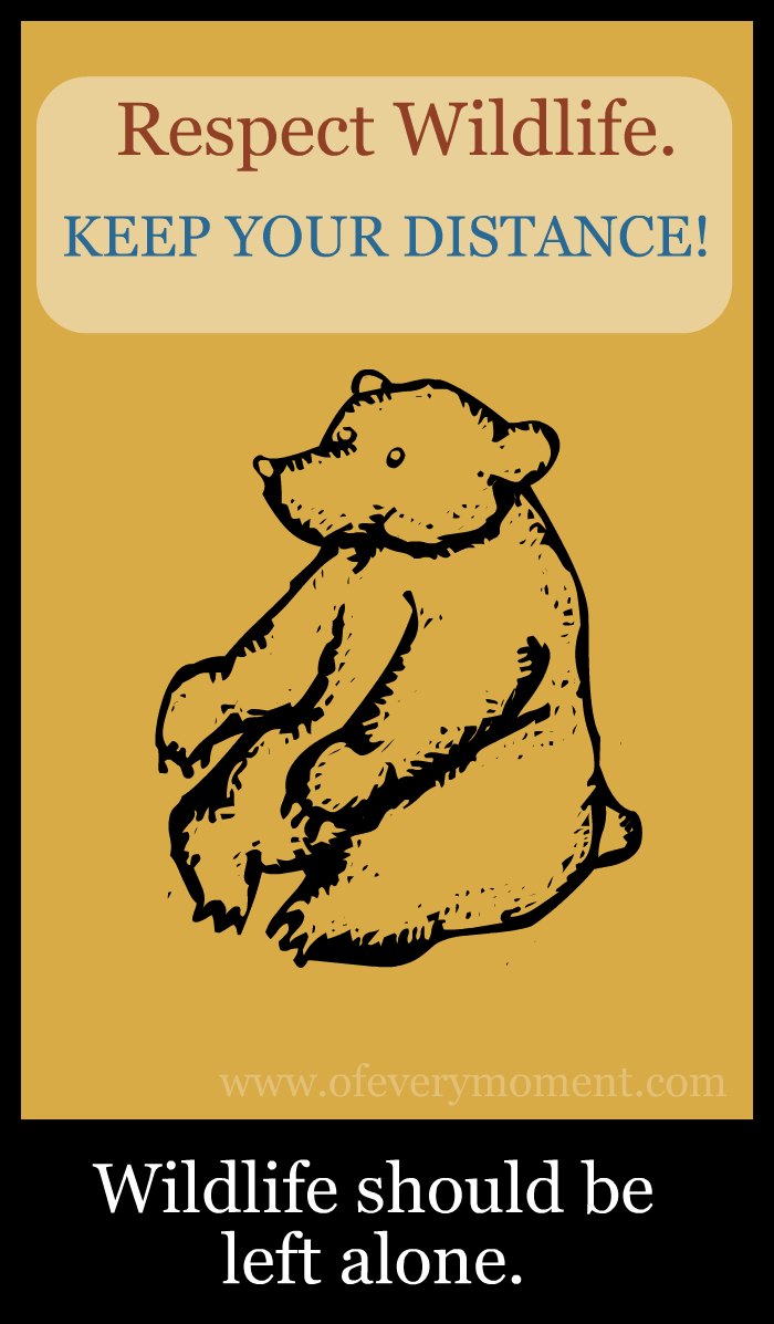 Respect Wildlife and Keep Your Distance | the most - - of every moment