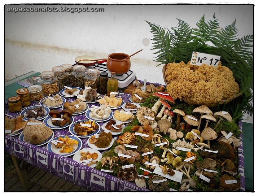 Un paseo,una foto: Feira de fungos e cogomelos. As Pontes (A Coruña)