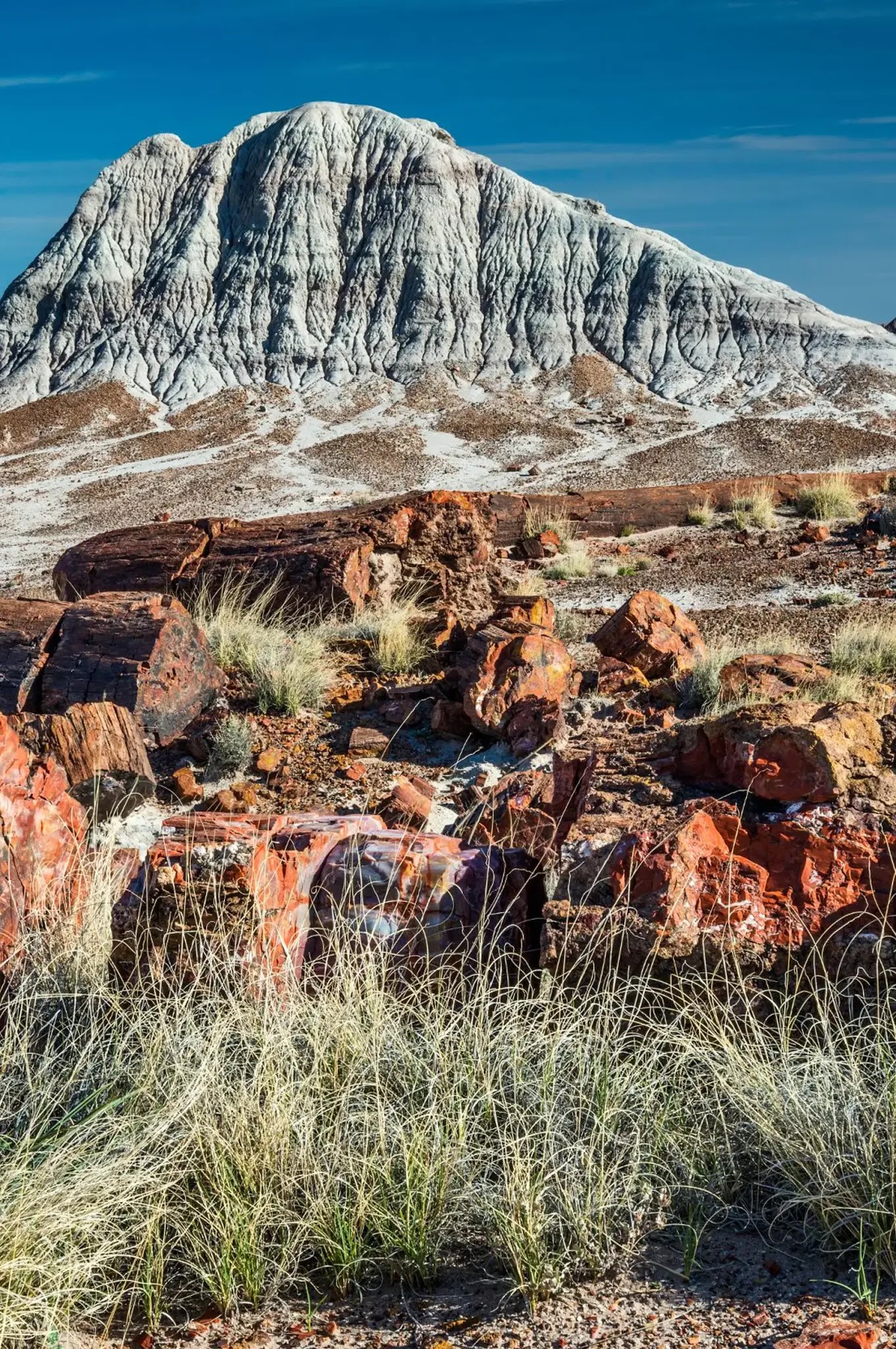 Top 10 Best National Parks in Arizona (with Map & Photos)