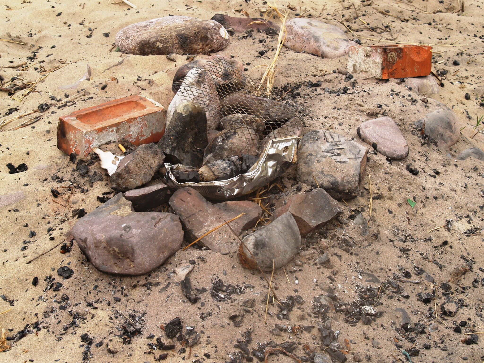 Professor P.Brain's blog: Fire, Litter, Excrement: It Must be the ...