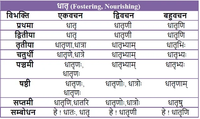 Dhatri shabd roop in Sanskrit