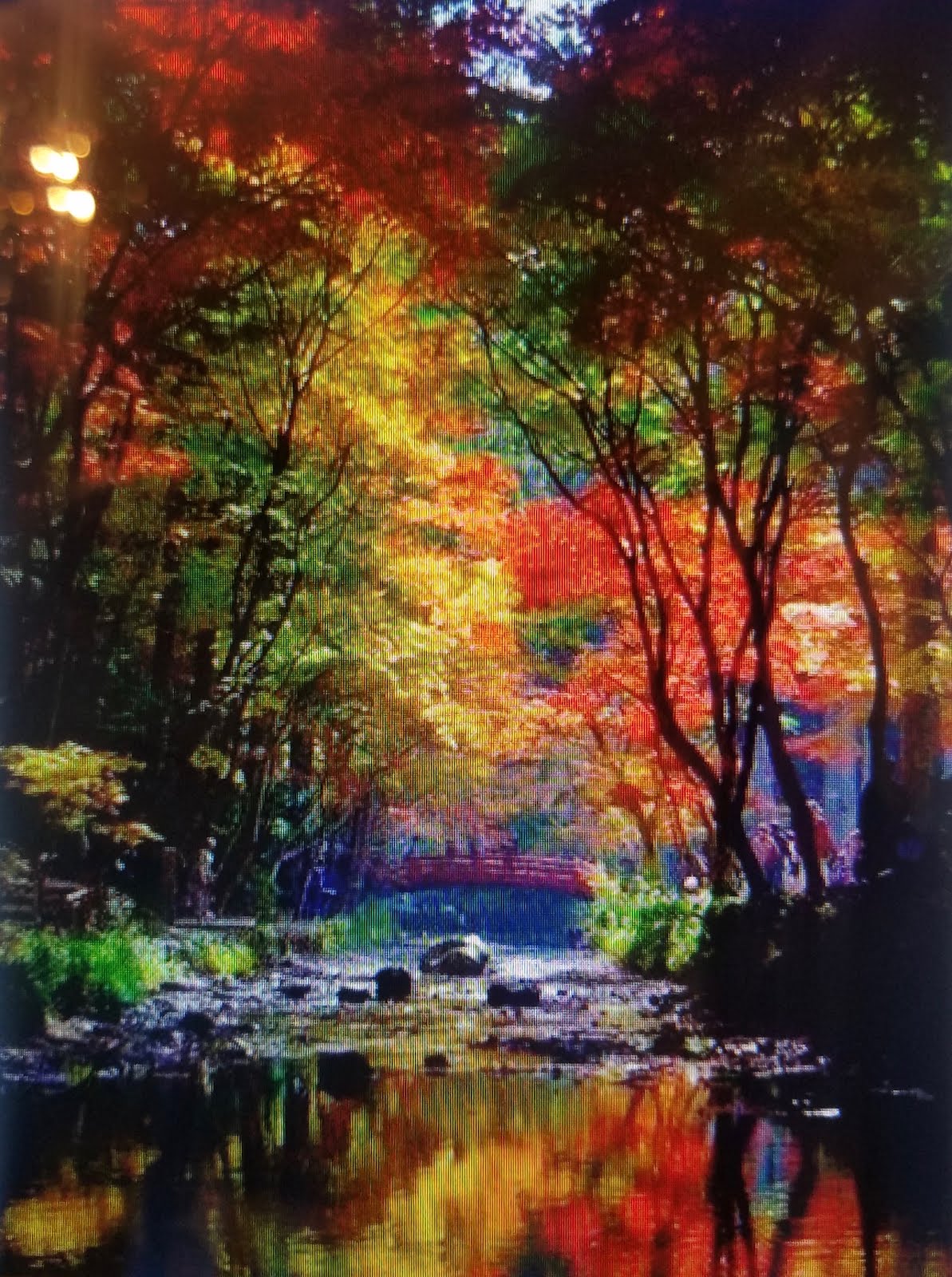 FIVE SIMPLE COMPOSITION STYLES THAT WORK!