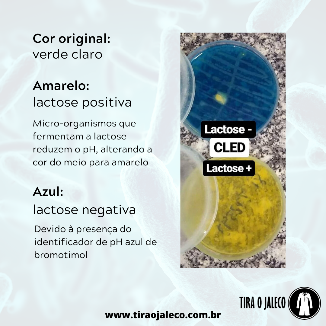 Meio de Cultura - CLED - Tira o Jaleco