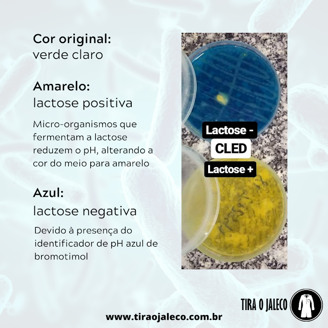 Meio de Cultura - CLED - Tira o Jaleco