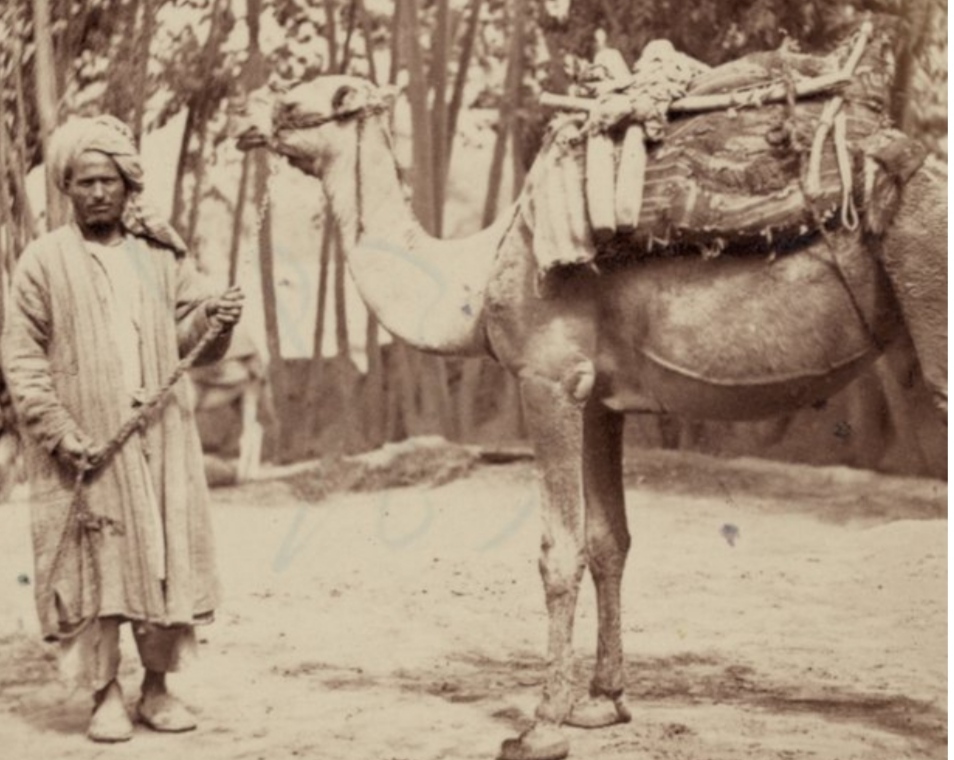 ASAI Travel Knowledge Bling: ANCIENT MODES OF LAND TRANSPORT