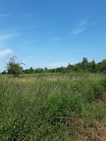 ONFF Blog: ONFF-0253 Bos van Aa