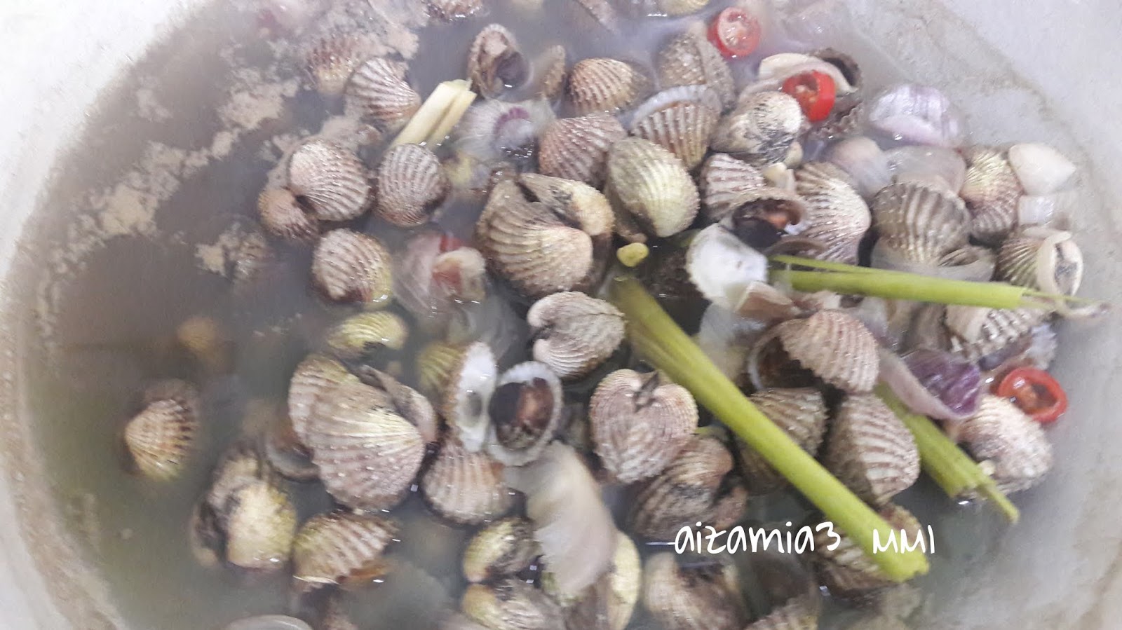 MakBudak a.k.a RemajaPurba: Ikan Daun Baru di Pantai Remis