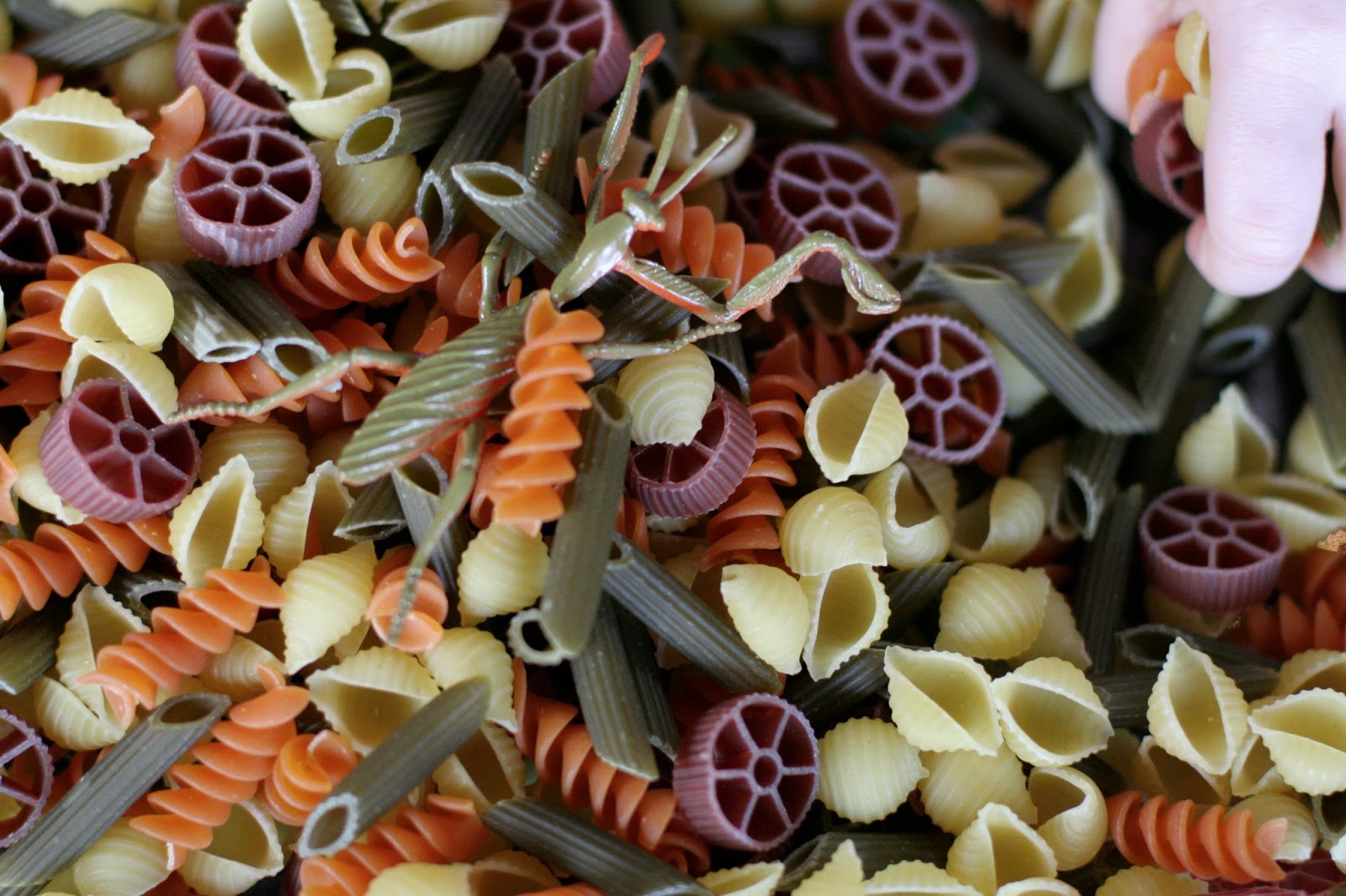 Super Easy Sensory Play: Dried Pasta