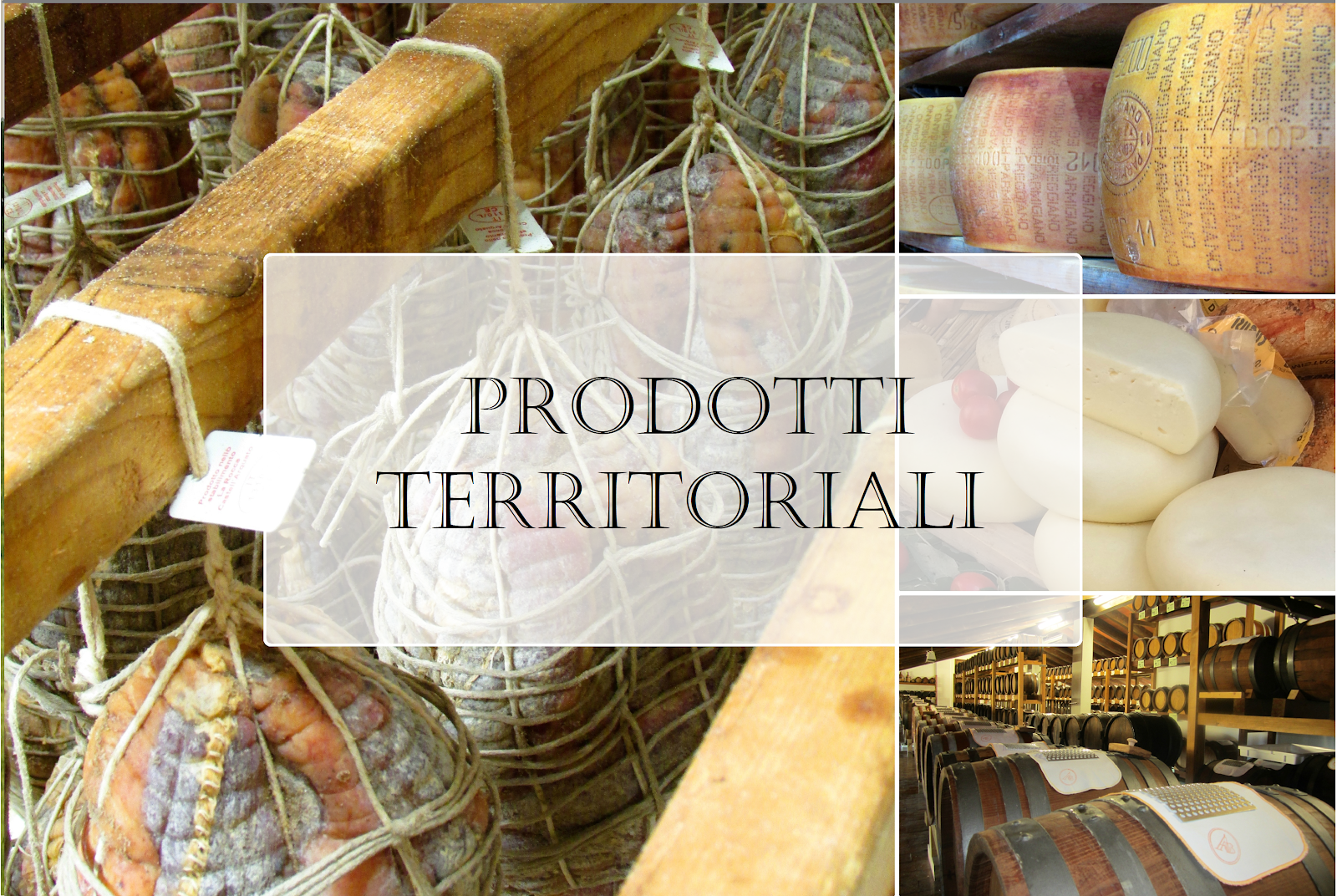 Il calendario dei funghi commestibili più comuni in Italia | BRICIOLE ...