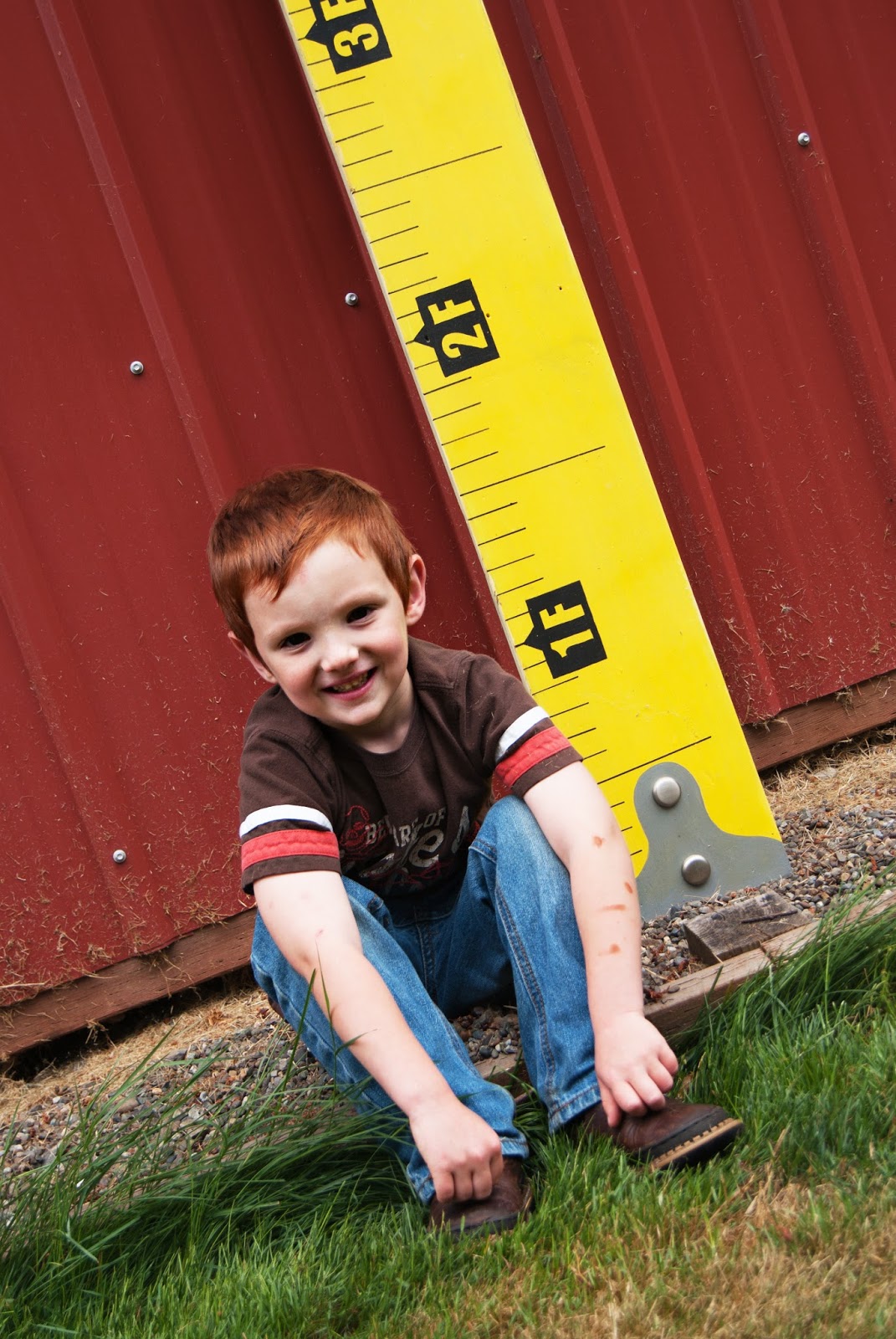 Tape Measure Growth Chart | Averie Lane: Tape Measure Growth Chart