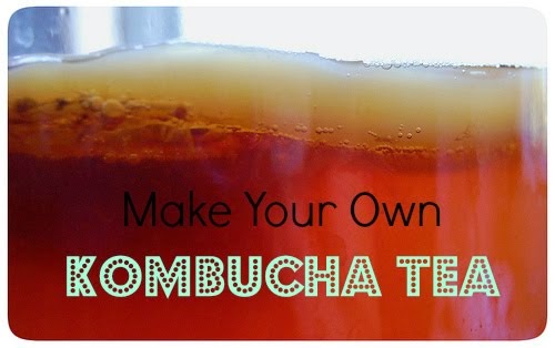 Apa itu Kombucha - KOMBUCHA