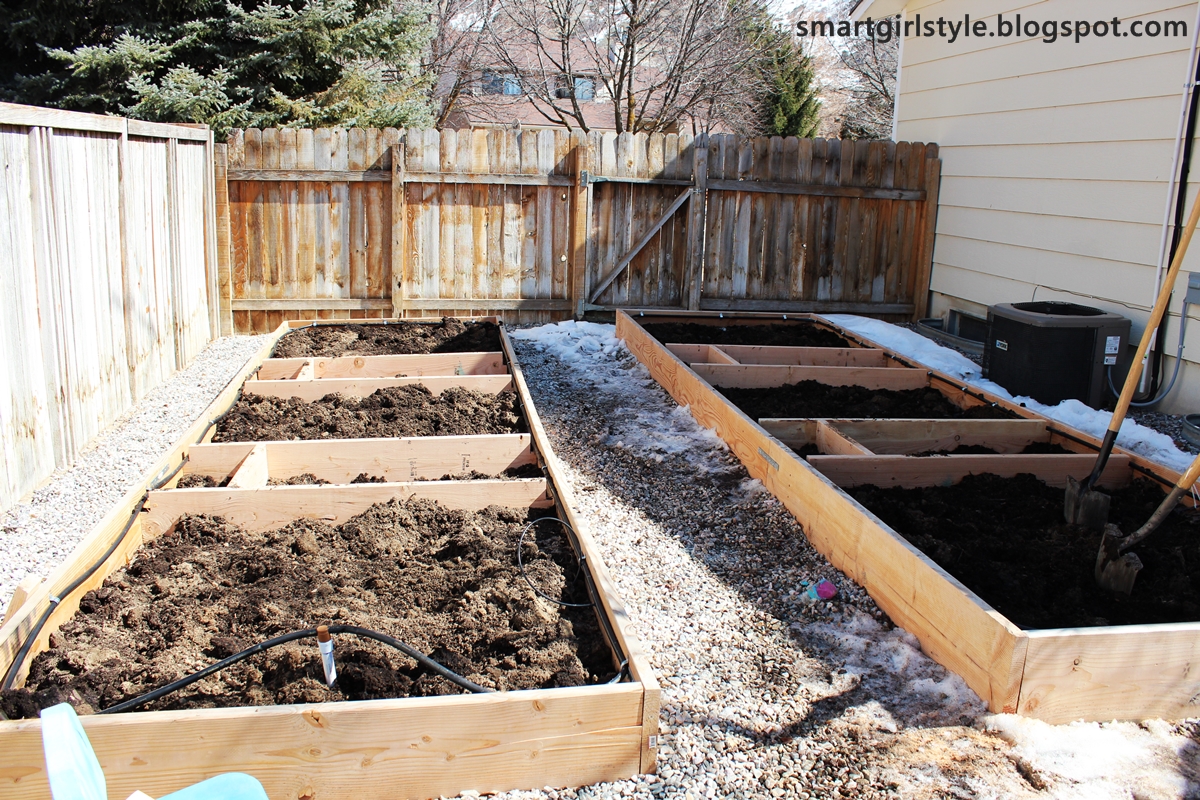smartgirlstyle: Box Vegetable Garden: The Early Stages
