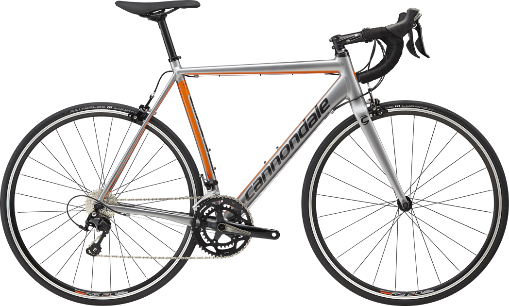 Cannondale Club: CAAD Optimo 105