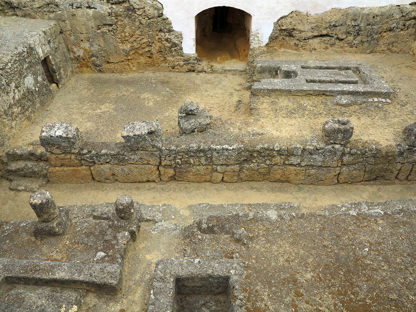 Francisco Javier Torres Goberna: Necrópolis romana de Carmona