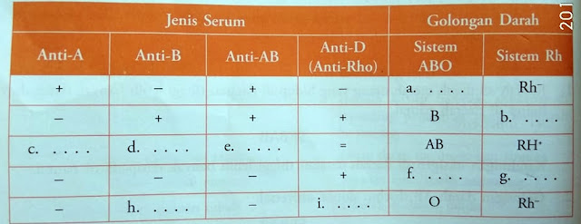 Lengkapi tabel hasil reaksi pada sel golongan darah berikut. Keterangan ...