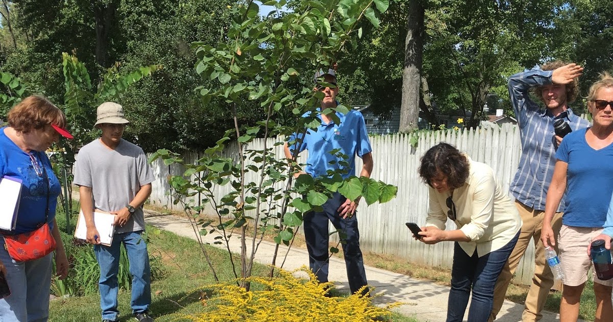 Montgomery County Updates: One Hundred Percent of Students Passed First ...