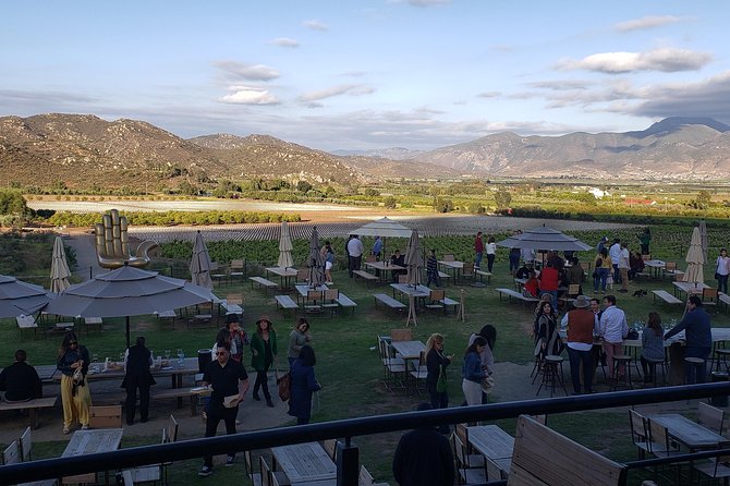 Wine tasting Guadalupe Valley tour