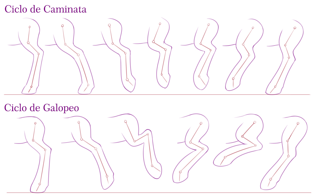 Tutorial - Cómo dibujar Ponis