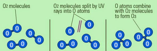 UPSC Times: Ozone layer showing signs of recovery: UN scientists