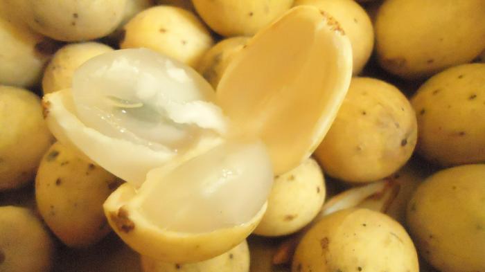 7 Manfaat Buah Langsat bagi Kesehatan - Sehat Alami