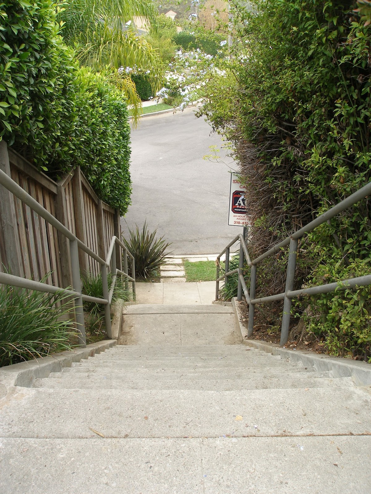 Los Angeles: Climbing the Hidden Stairways: Staircases in Santa Monica