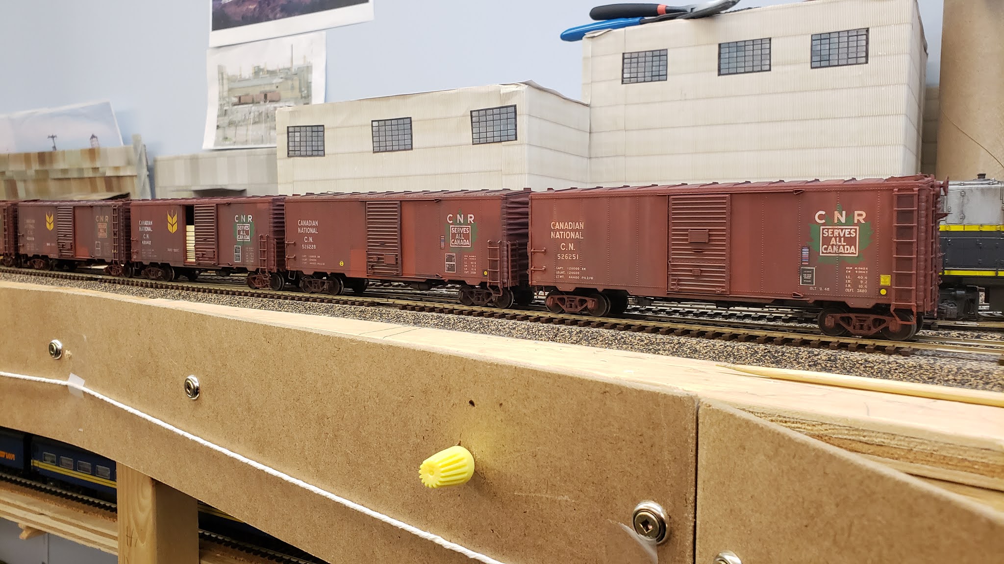 CN Boxcars a Plenty