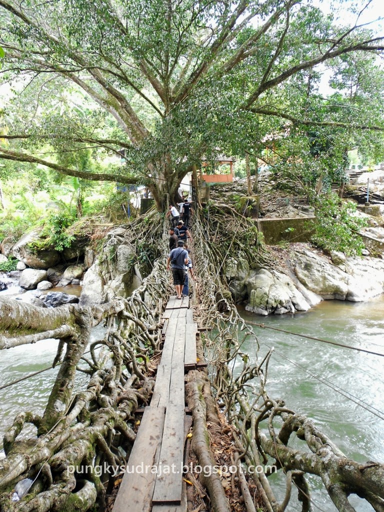 Most BEAUTIFUL bridges in the world | Page 11 | SkyscraperCity Forum