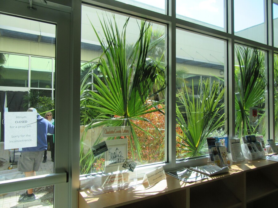 Bird's Yellow House: The Calusa Village